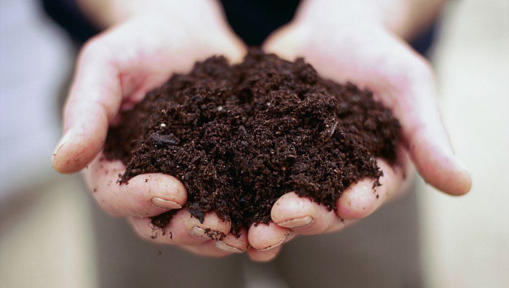 Revitalize The Old Soil : Create a Good Growing Place For Your Plants
