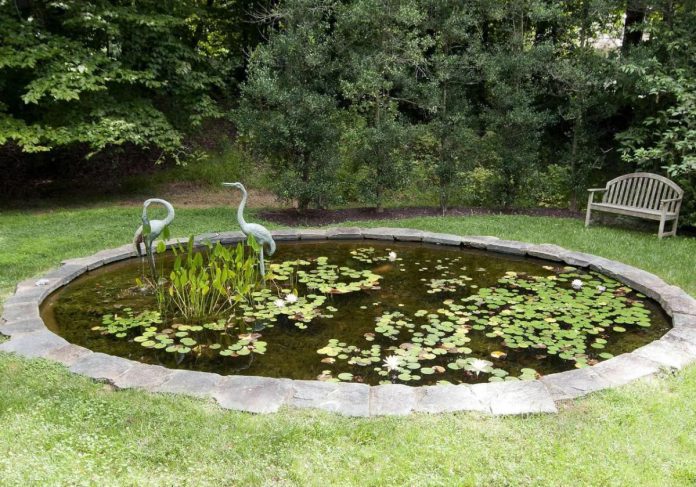Backyard Fish Pond Ideas : Create a Beautiful and Fresh Atmosphere