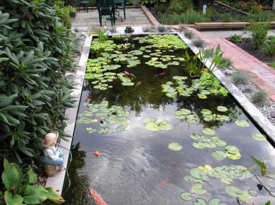 Backyard Fish Pond Ideas : Create a Beautiful and Fresh Atmosphere